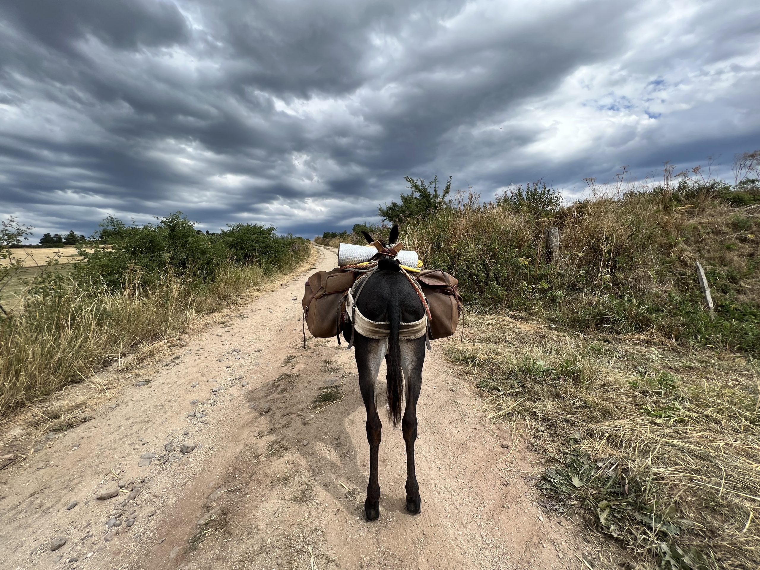 Exclusive: Kaïcha Sacking Fiasco - Brian McIntyre's new essay