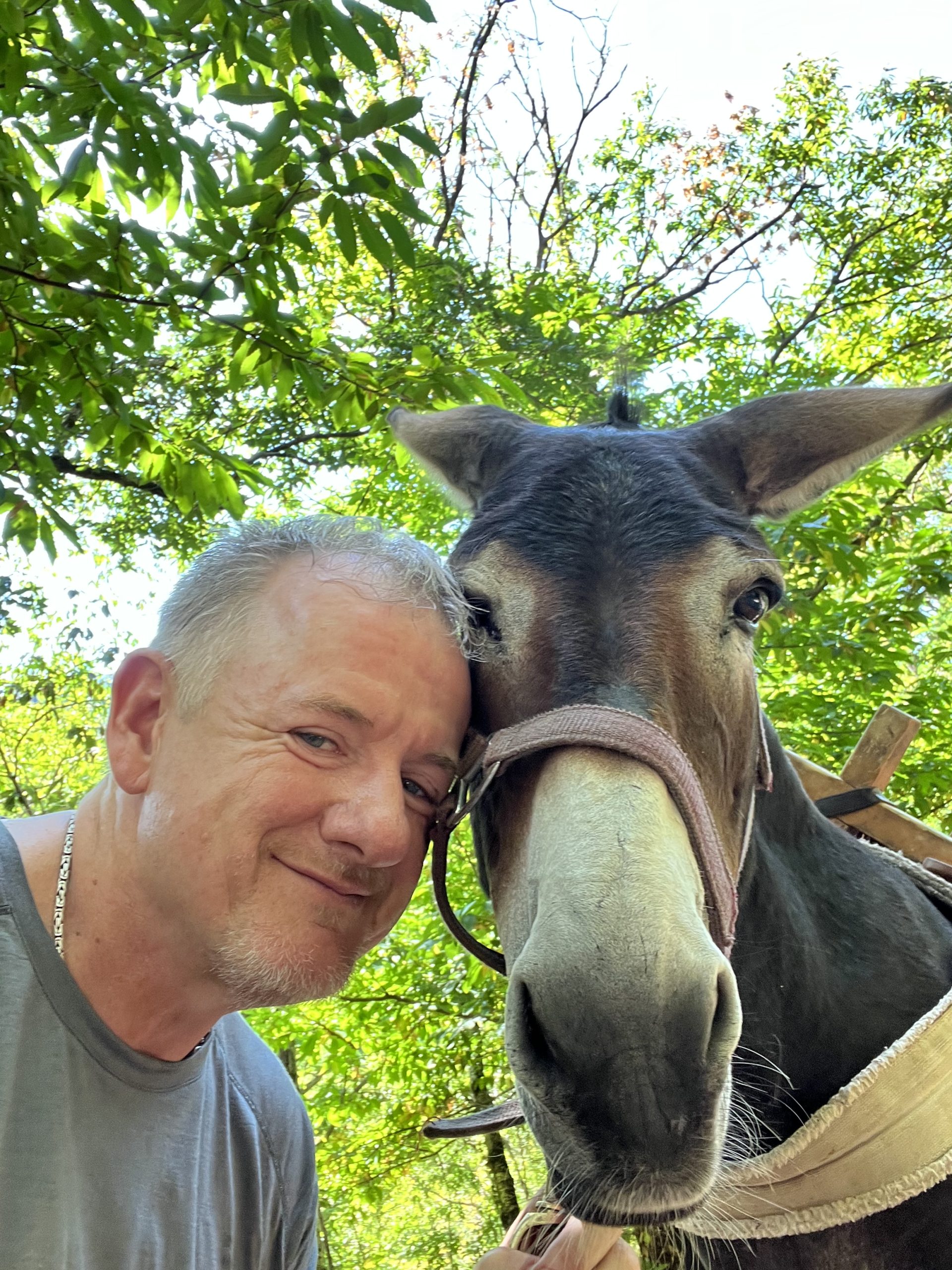 McGregor’s Army - Brian McIntyre's new essay